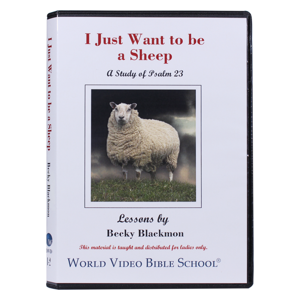 I Just Want to Be a Sheep 2-DVD Set | WVBS Store