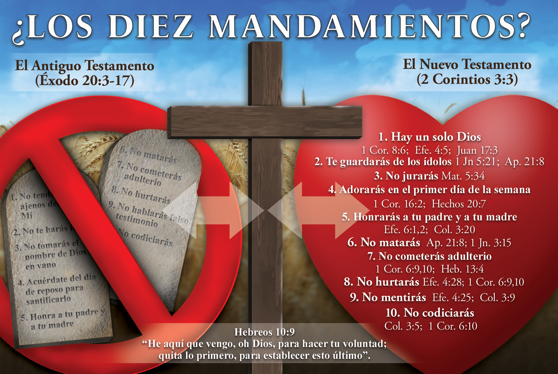 SPANISH Teaching Card: ¿Los Diez Mandamientos? | WVBS Store