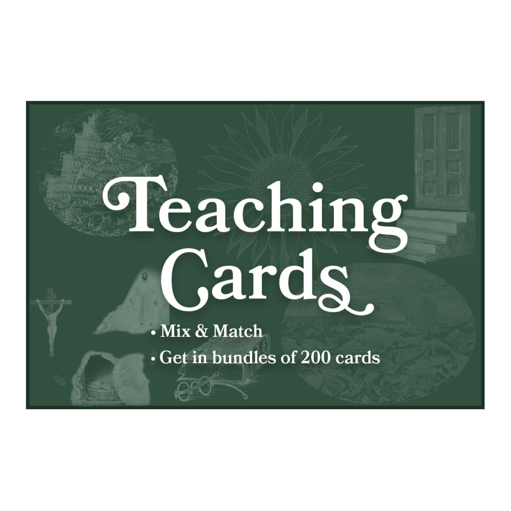 Teaching Cards | WVBS Store