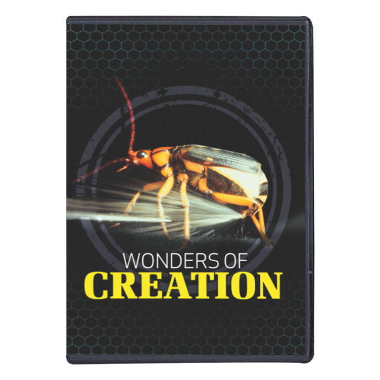 Wonders of Creation Album Box DVD | WVBS Store